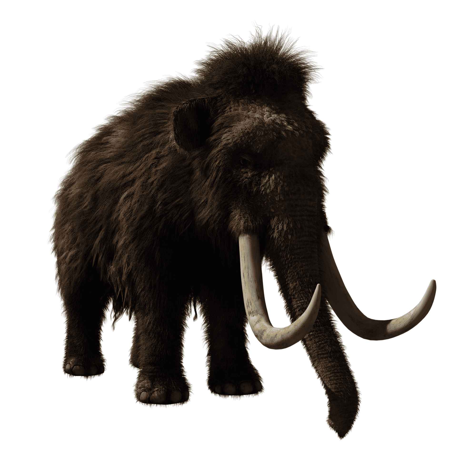 15 Extinct Animals: A Snapshot of Species Lost (So Far) - The Wildlife ...