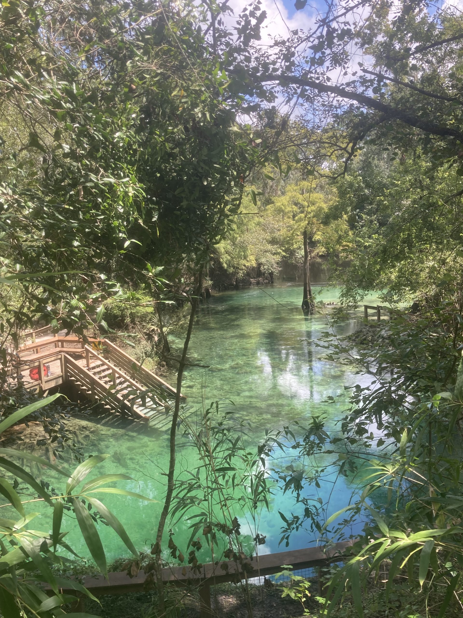 Madison Blue Springs State Park: A Portal To The Underside - The ...